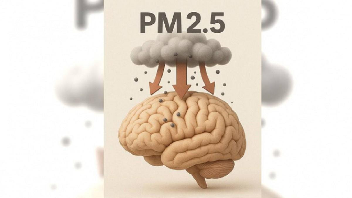 空污不只傷肺！ 專業醫：PM2.5加速腦部退化｜東森財經新聞